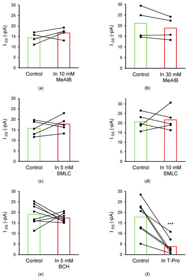 ASC Transporters Mediate D-Serine Transport into Astrocytes Adjacent to ...