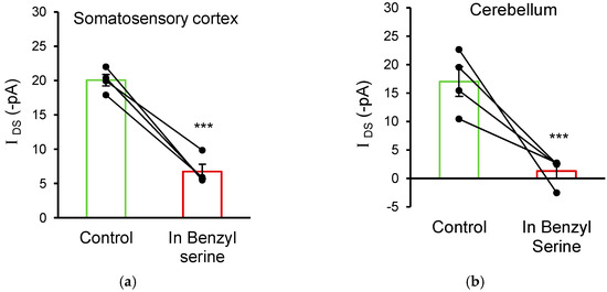 ASC Transporters Mediate D-Serine Transport into Astrocytes Adjacent to ...