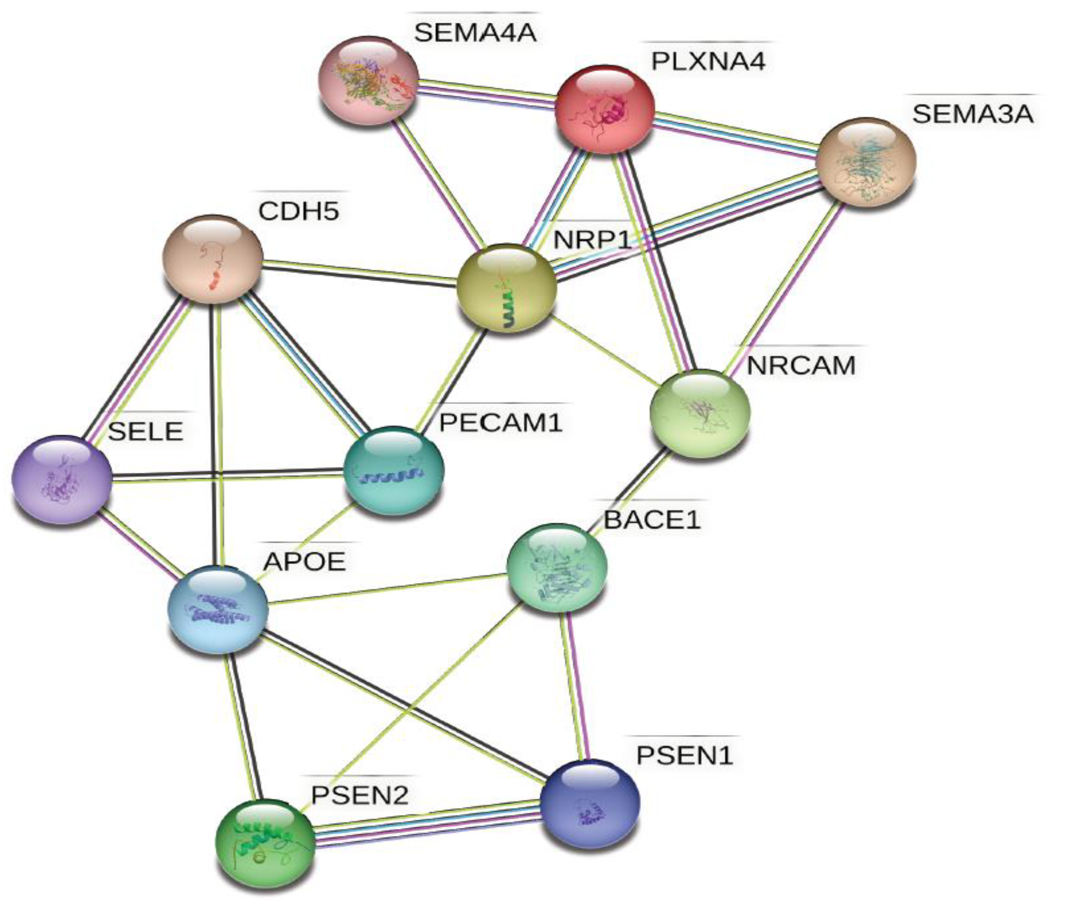 Microvascular Contributions to Alzheimer Disease Pathogenesis: Is ...