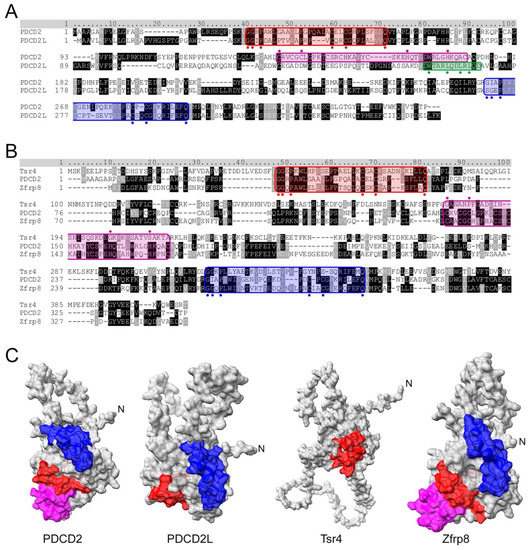 Ribosomal Protein uS5 and Friends: Protein–Protein Interactions ...