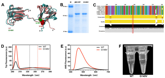 Biomolecules | Free Full-Text | Insight into Pathogenic Mechanism ...
