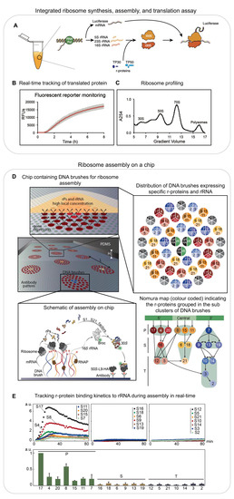 Emerging Quantitative Biochemical, Structural, and Biophysical Methods ...