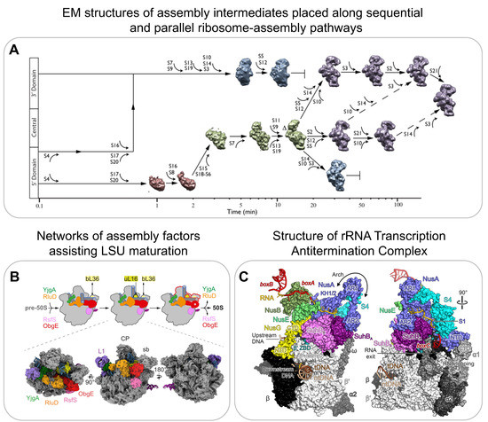 Emerging Quantitative Biochemical, Structural, and Biophysical Methods ...