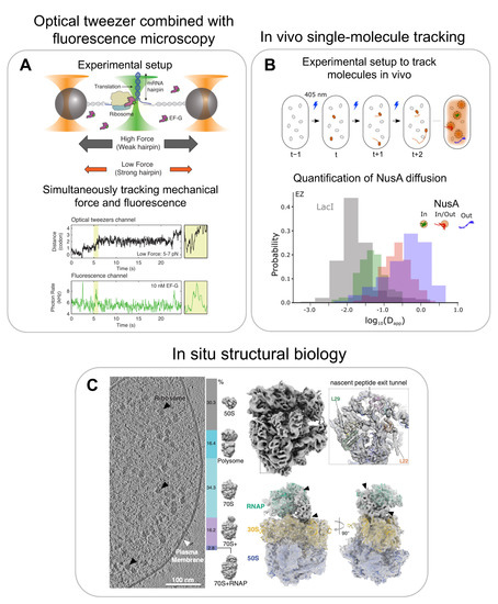 Emerging Quantitative Biochemical, Structural, and Biophysical Methods ...