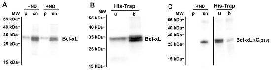 Bcl-xL Is Spontaneously Inserted into Preassembled Nanodiscs and ...