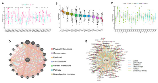Prognostic, Immunological, and Mutational Analysis of MTA2 in Pan ...