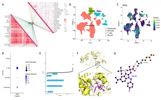 Prognostic, Immunological, and Mutational Analysis of MTA2 in Pan ...