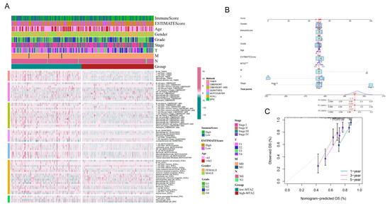 Prognostic, Immunological, and Mutational Analysis of MTA2 in Pan ...