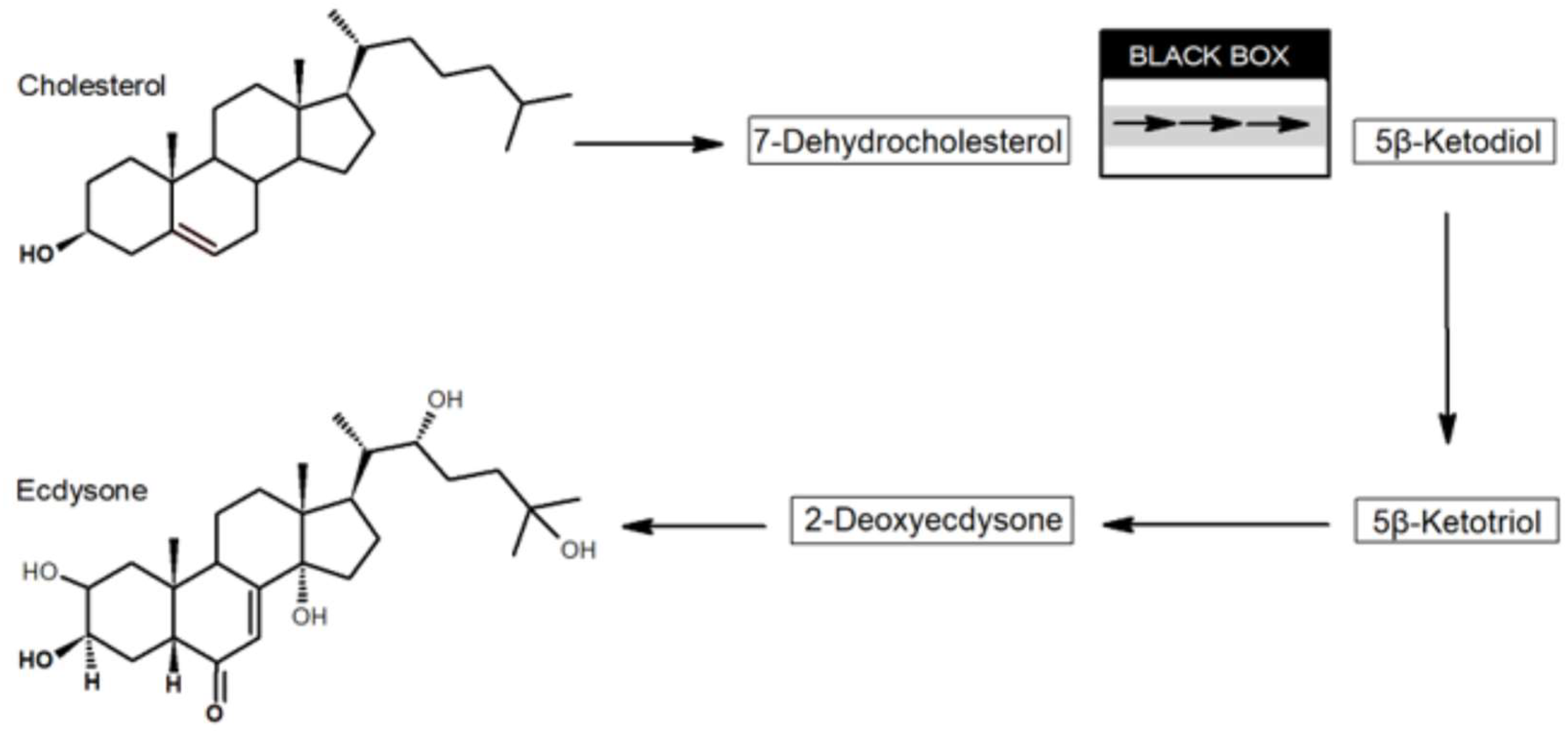 Biomolecules Are Homopolymer at Alma Quirion blog