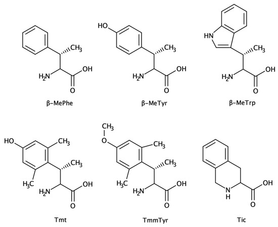 Non-Canonical Amino Acids as Building Blocks for Peptidomimetics ...