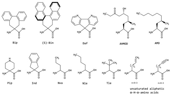 Non-Canonical Amino Acids as Building Blocks for Peptidomimetics ...
