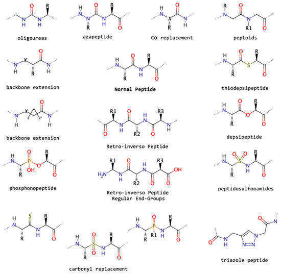 Non-Canonical Amino Acids as Building Blocks for Peptidomimetics ...