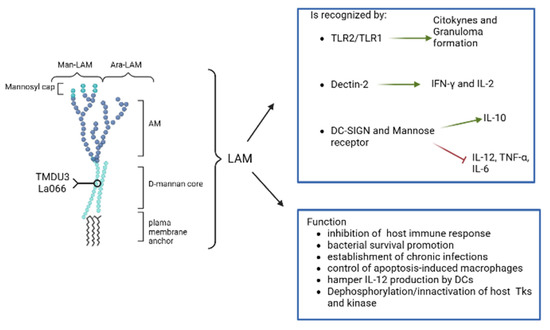 Emerging Extracellular Molecular Targets for Innovative Pharmacological ...