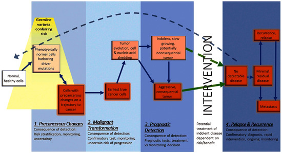 CNT and Graphene-Based Transistor Biosensors for Cancer Detection: A Review