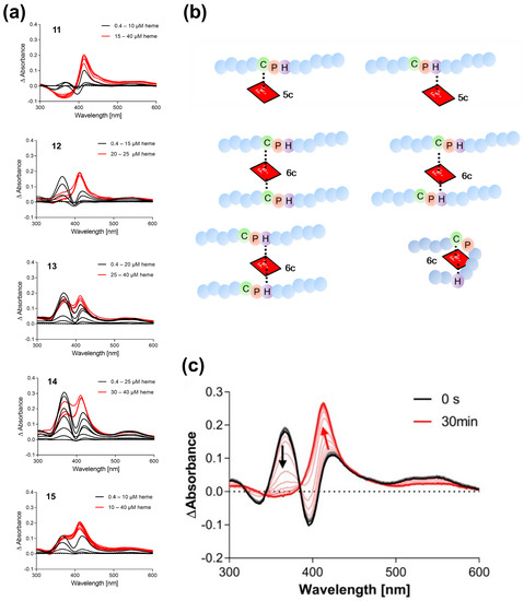Shapes and Patterns of Heme-Binding Motifs in Mammalian Heme-Binding ...