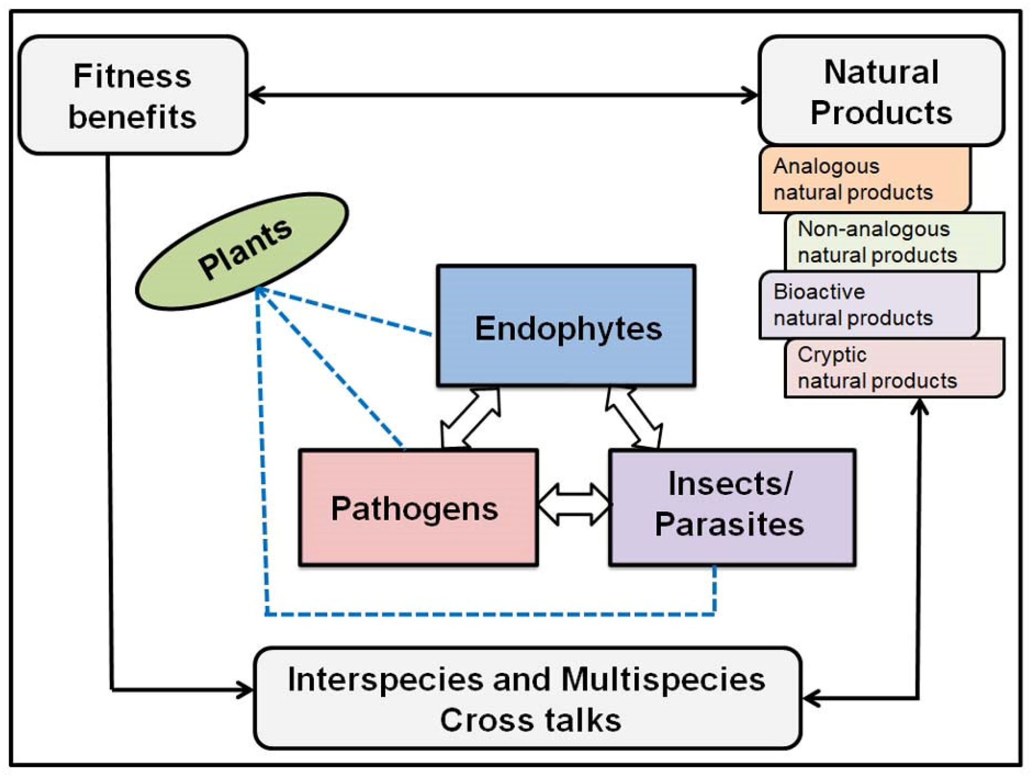 Biomolecules Free Full Text Fungal Endophytes Microfactories Of