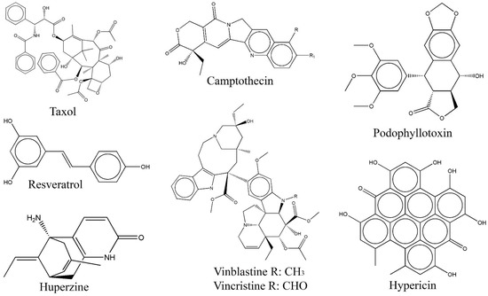 Fungal Endophytes: Microfactories of Novel Bioactive Compounds with ...
