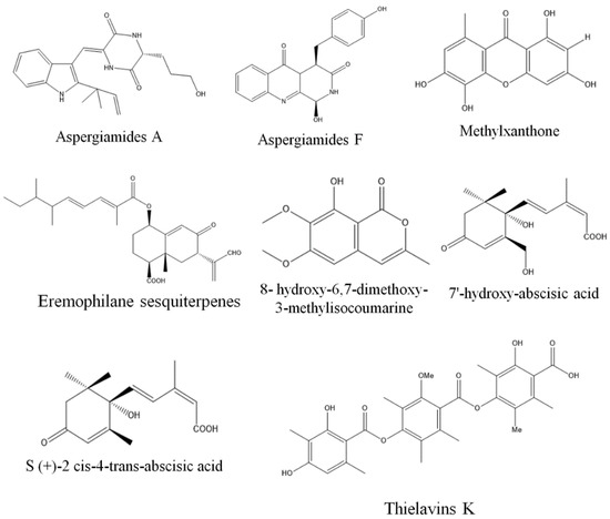 Fungal Endophytes: Microfactories of Novel Bioactive Compounds with ...