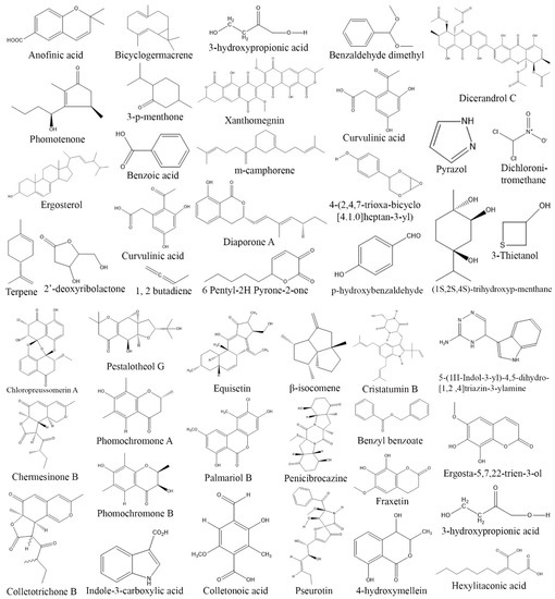 Fungal Endophytes: Microfactories of Novel Bioactive Compounds with ...