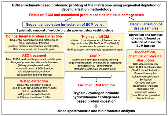 Extracellular Matrix Proteomics: The mdx-4cv Mouse Diaphragm as a ...