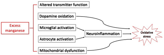 The Role of Oxidative Stress in Manganese Neurotoxicity: A Literature ...