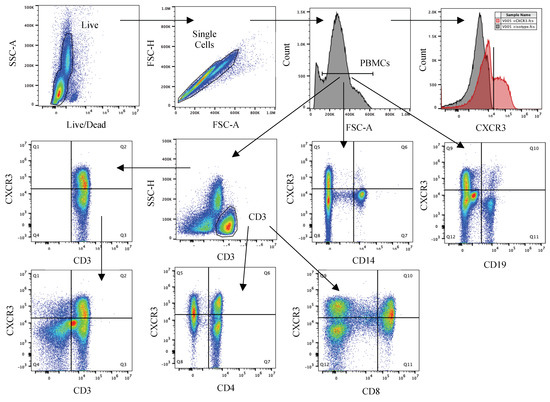 CXCL10 Is Associated with Increased Cerebrospinal Fluid Immune Cell Infiltration and Disease ...