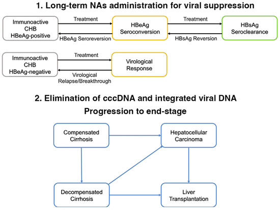 Chronic Hepatitis B Infection: New Approaches towards Cure
