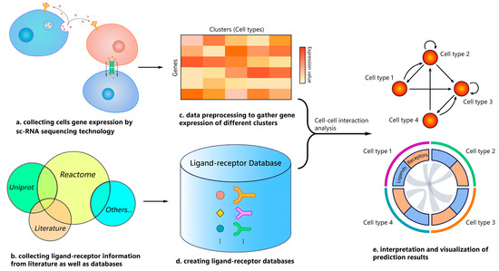 Biomolecules | Free Full-Text | A Comparison of Cell-Cell Interaction Prediction Tools Based on ...