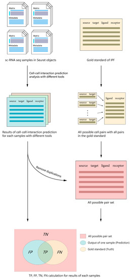 Biomolecules | Free Full-Text | A Comparison of Cell-Cell Interaction Prediction Tools Based on ...