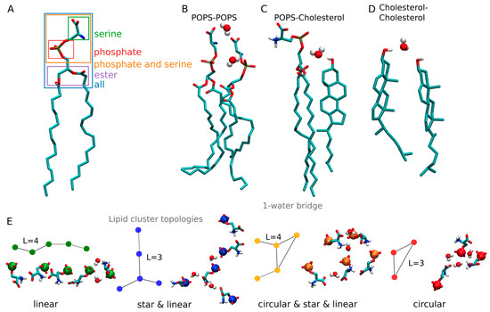 Graph-Based Analyses of Dynamic Water-Mediated Hydrogen-Bond Networks ...