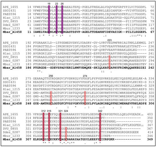 The Radical SAM Heme Synthase AhbD from Methanosarcina barkeri Contains ...
