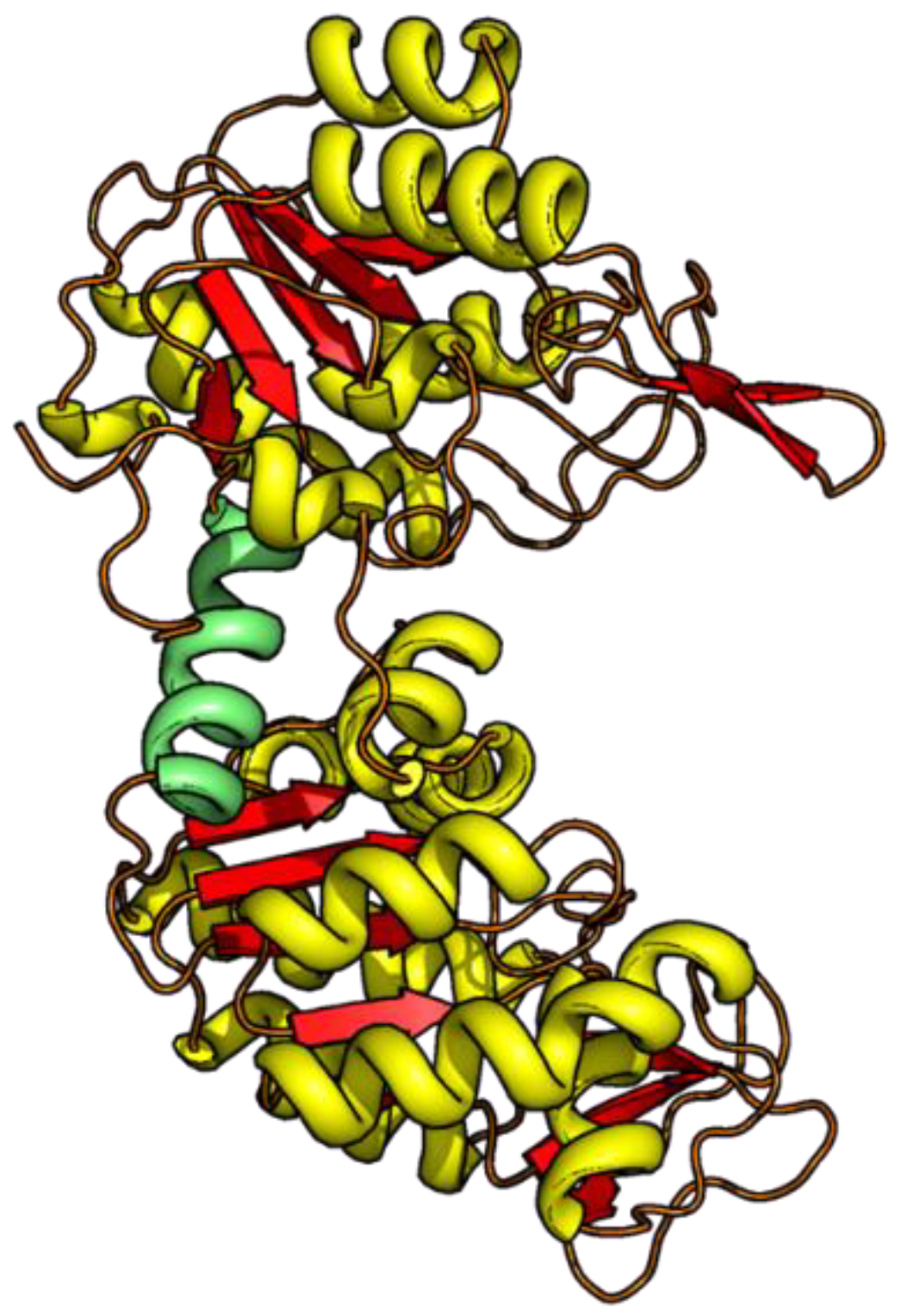 Protein Folding Topology at Claire Fahey blog