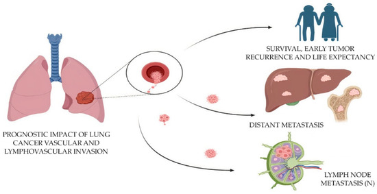 Artificial Intelligence Assists in the Detection of Blood Vessels in ...