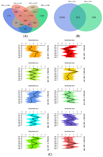 Integrated Metabolomic and Transcriptomic Analysis of the Quinoa ...