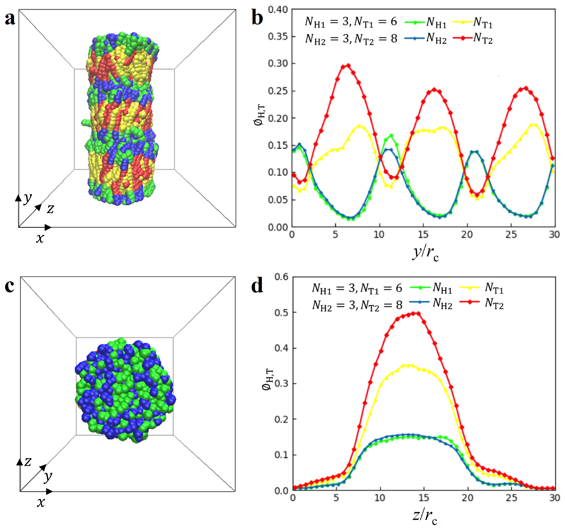 Self-Assembly of Lipid Molecules under Shear Flows: A Dissipative Particle Dynamics Simulation Study