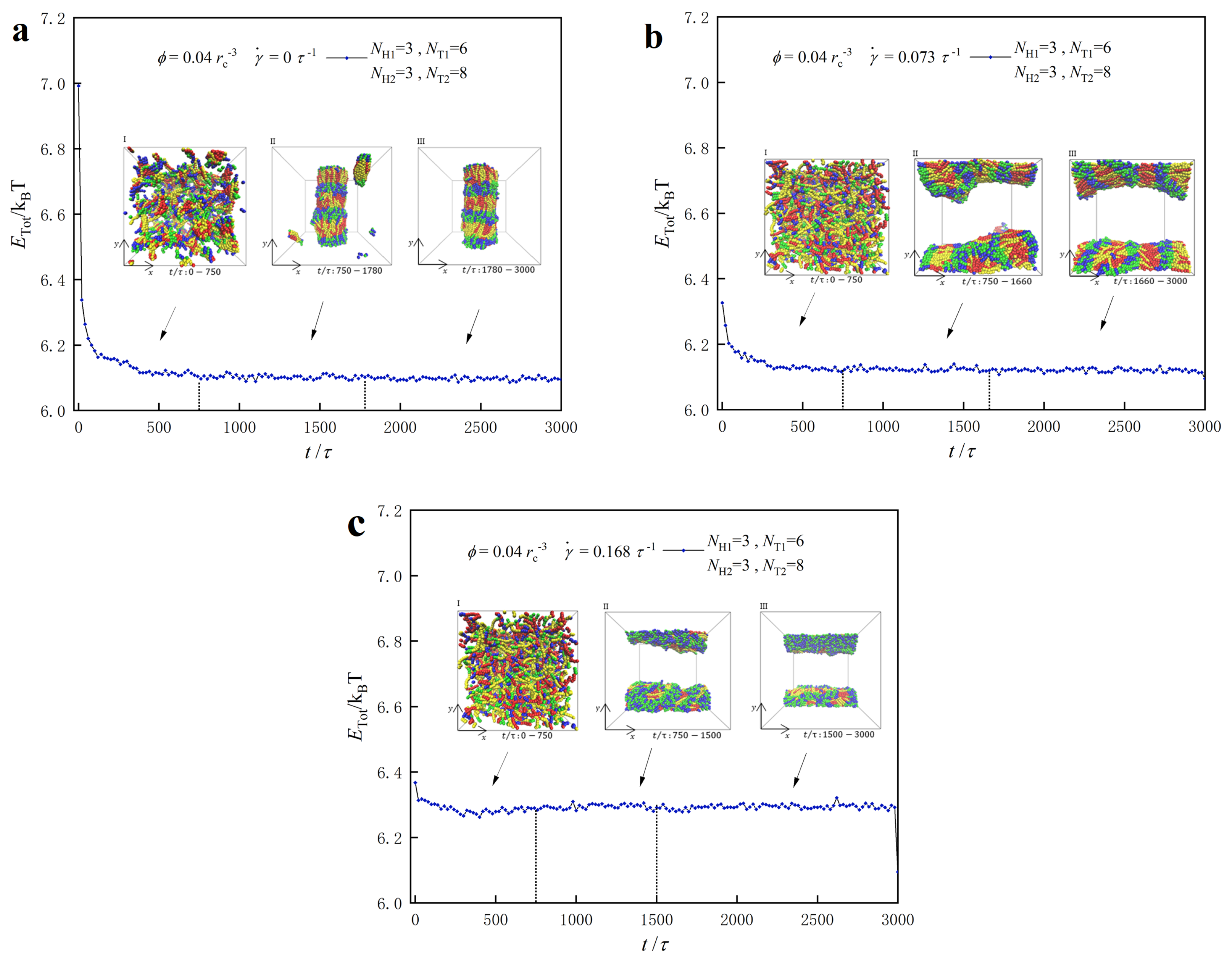 Self-Assembly of Lipid Molecules under Shear Flows: A Dissipative ...