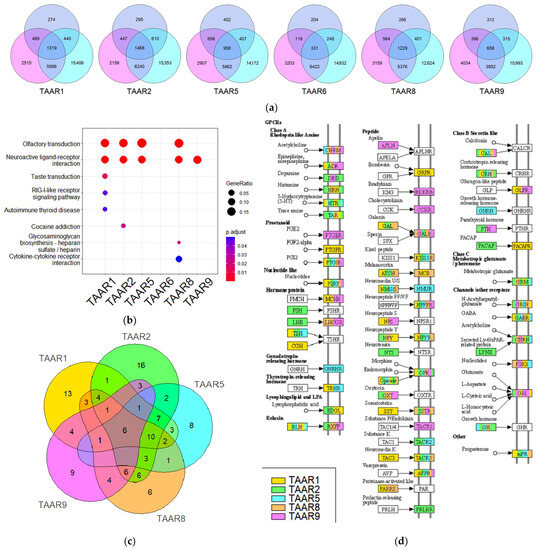 The Expression of Trace Amine-Associated Receptors (TAARs) in Breast ...