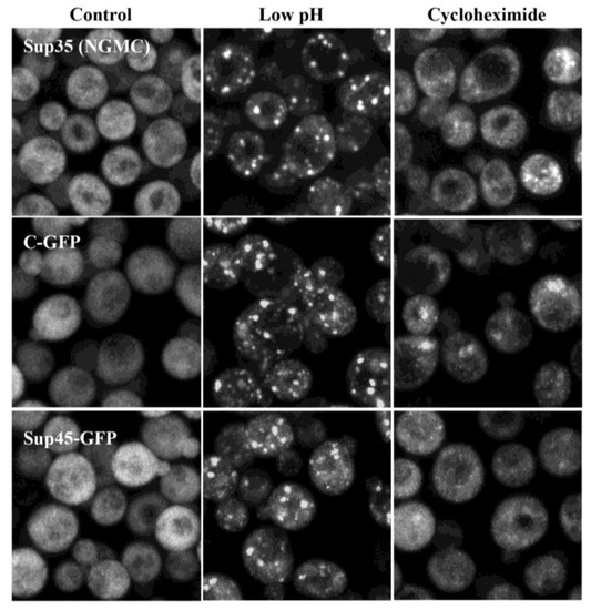 The Properties and Domain Requirements for Phase Separation of the ...