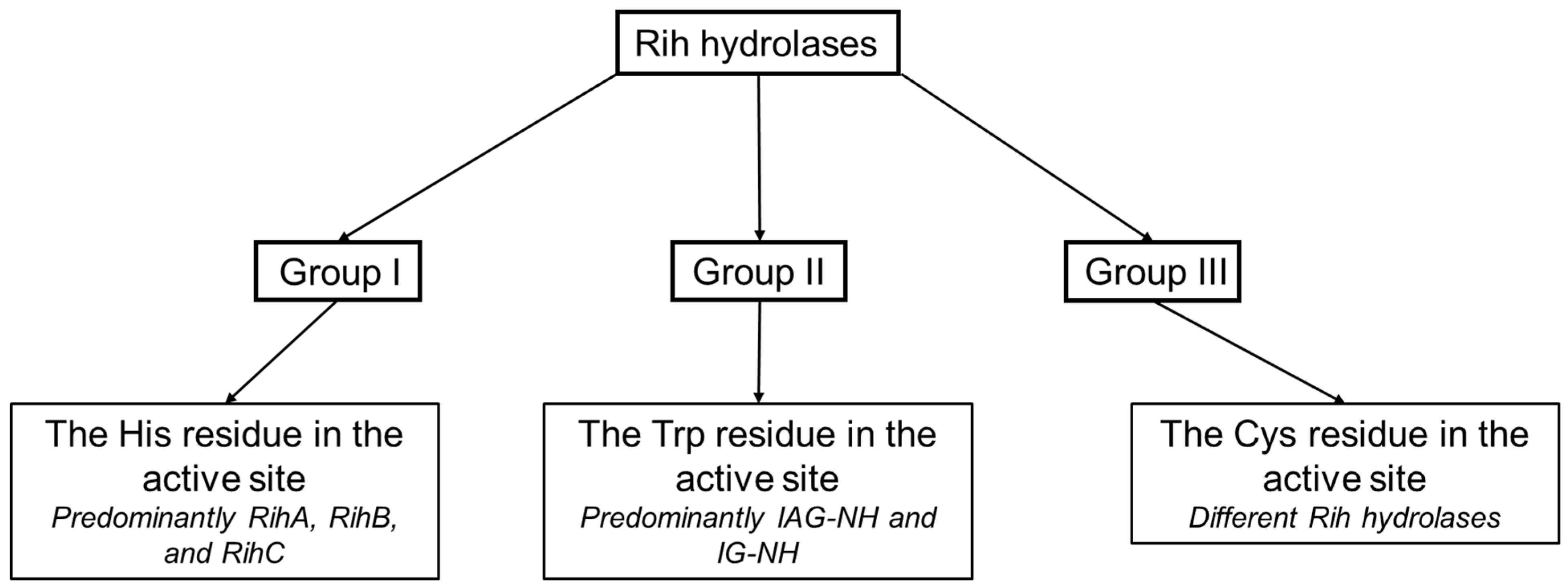 Biomolecules Free Full Text Ribonucleoside Hydrolases Structure