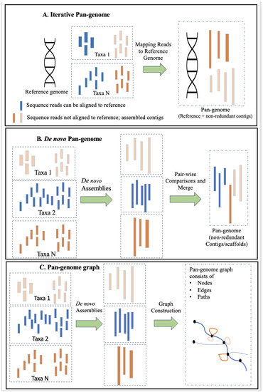 Exploring Pan-Genomes: An Overview of Resources and Tools for ...
