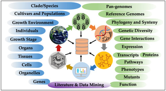 Exploring Pan-Genomes: An Overview of Resources and Tools for ...