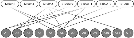 Recent Advances in Molecular and Cellular Functions of S100A10