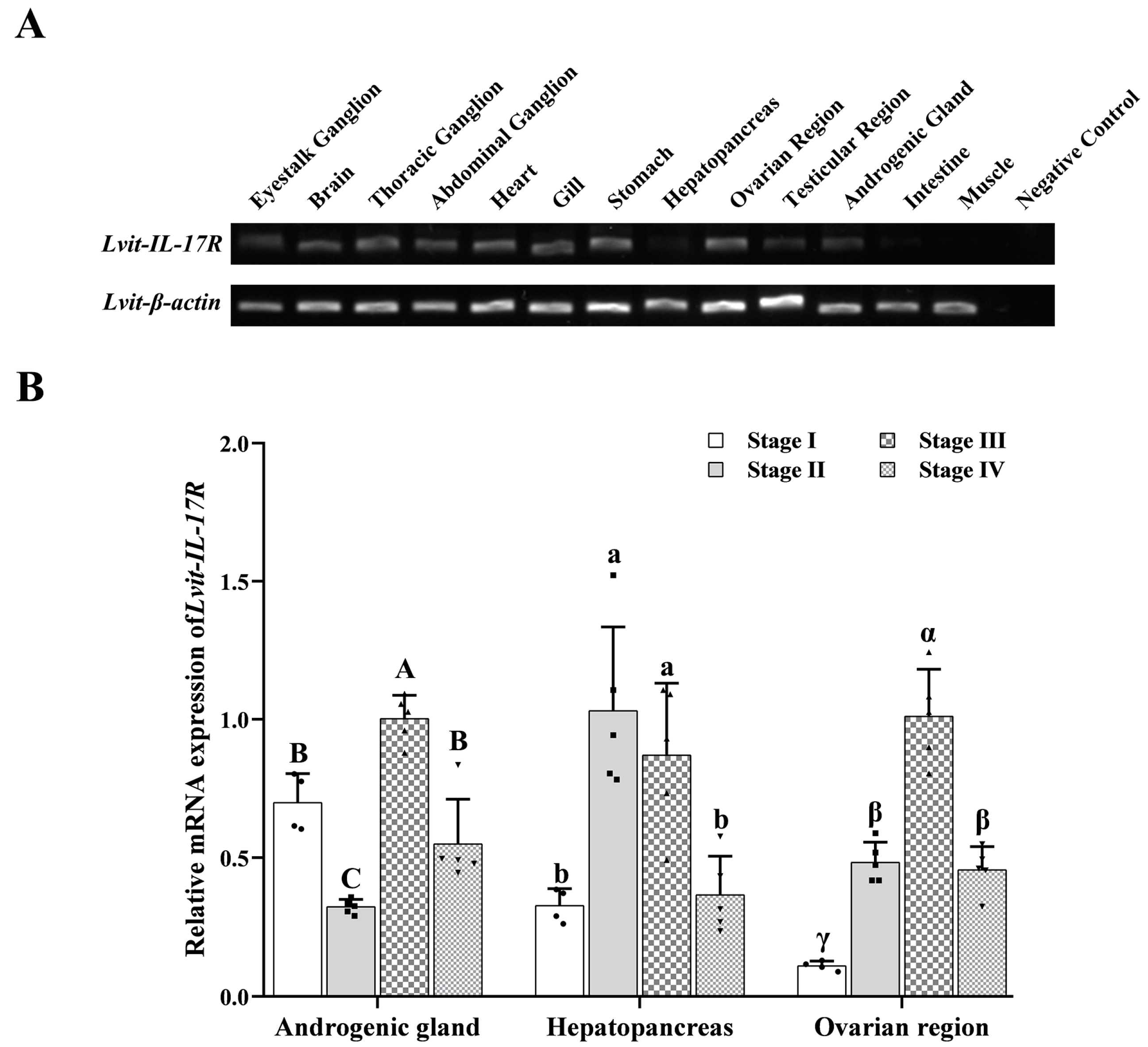 Biomolecules Free Full Text Identification Of Crustacean Female Sex