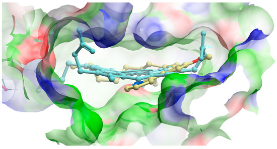 Exploiting Differences in Heme Biosynthesis between Bacterial Species ...