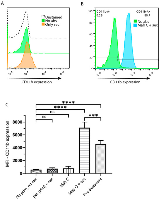 Aminopeptidase N/CD13 Crosslinking Promotes the Activation and Membrane ...