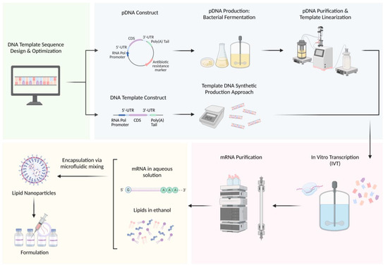 Enabling mRNA Therapeutics: Current Landscape and Challenges in Manufacturing