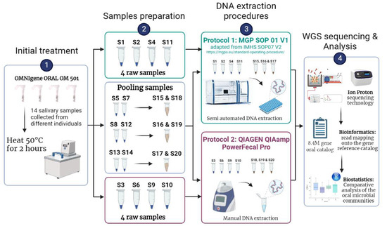 Evaluation of an Adapted Semi-Automated DNA Extraction for Human ...