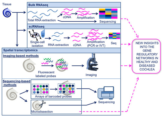 Advanced Omics Techniques for Understanding Cochlear Genome, Epigenome ...