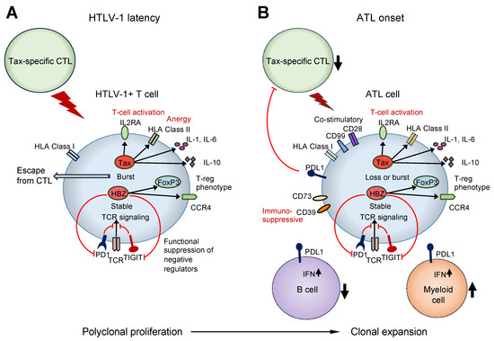 Biomolecules | Free Full-Text | Understanding the Immunopathology of ...