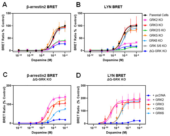Biomolecules | Free Full-Text | G Protein-Coupled Receptor Kinase 2 Selectively Enhances β ...